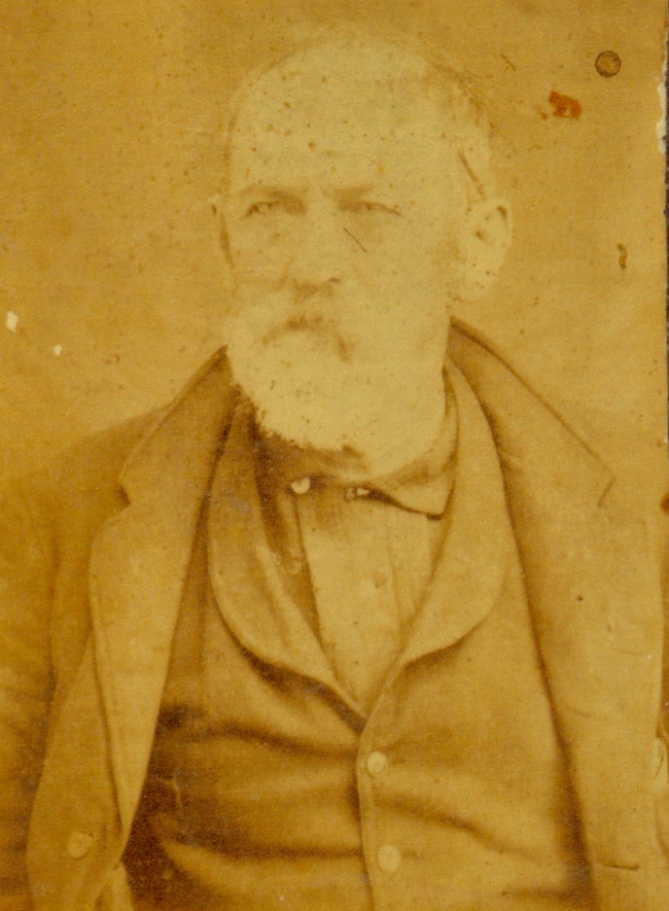 McMullen Flower Shoppe: Celebrating 67 Years in Safety Harbor | Local ...